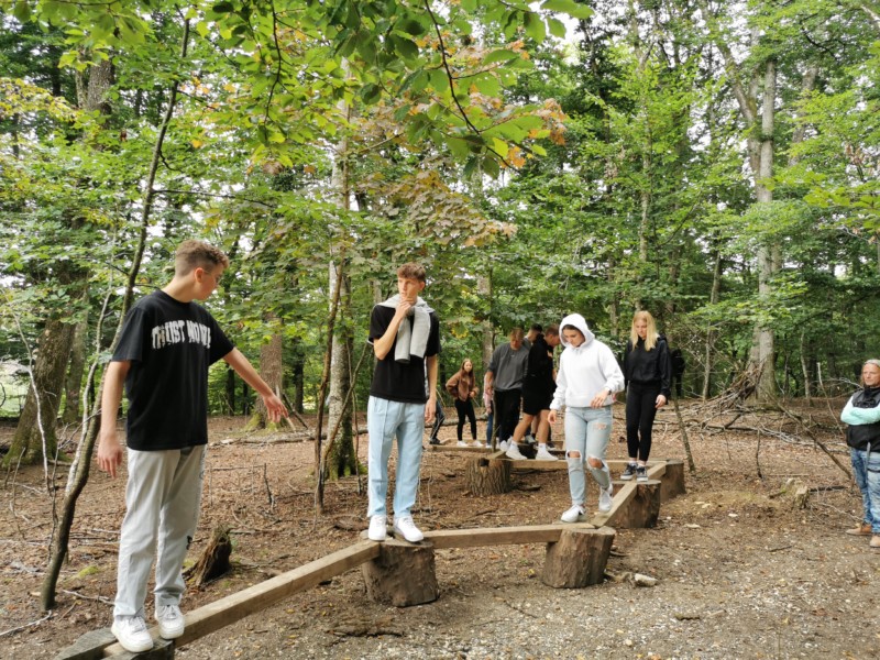 News – Rolf Benz AG & Co. KG, Nagold – Ausbildung / Praktikum